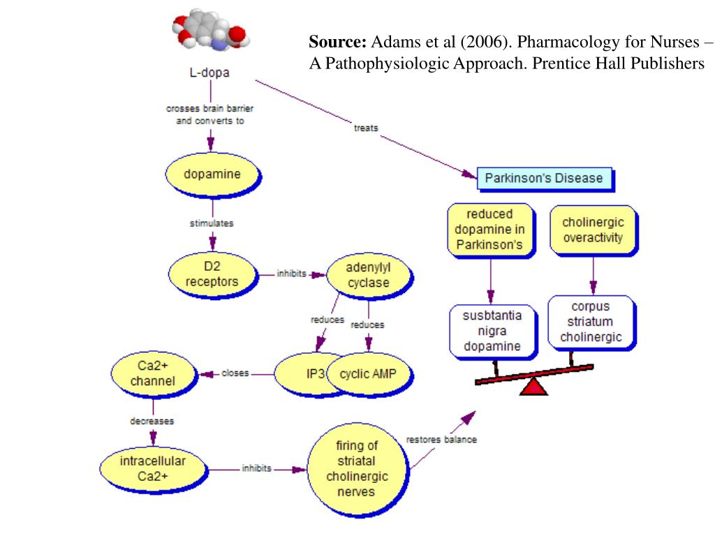 PPT - Anti-Parkinson Drugs PowerPoint Presentation, free download - ID ...