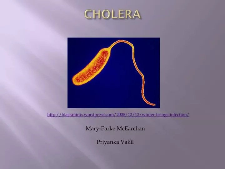 PPT - CHOLERA PowerPoint Presentation, free download - ID:6583595