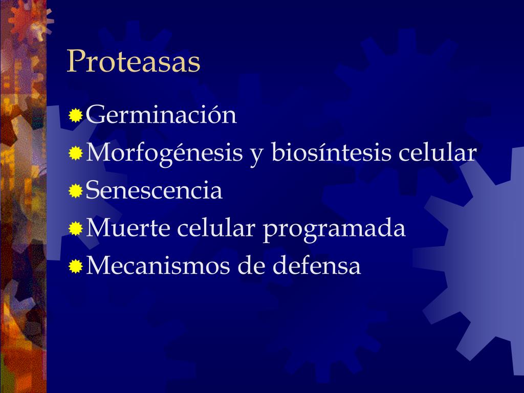PPT - Proteólisis en plantas bajo condiciones de estrés producidas por ...