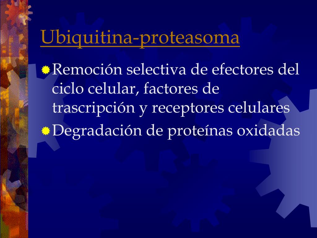 PPT - Proteólisis en plantas bajo condiciones de estrés producidas por ...