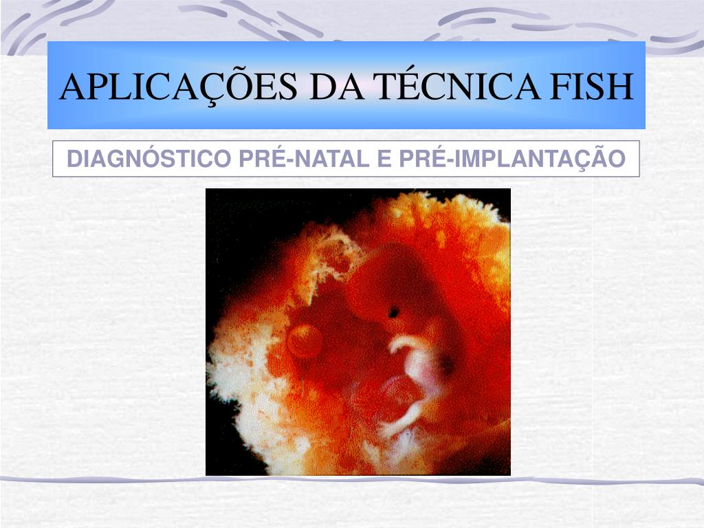 PPT - Profa. Dra. Ana Elizabete Silva Departamento de Biologia IBILCE ...