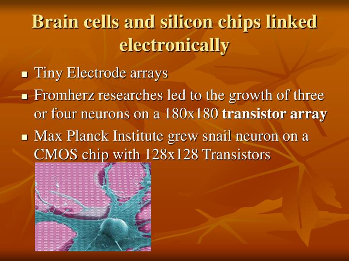 PPT - Brain Chips PowerPoint Presentation - ID:6584488