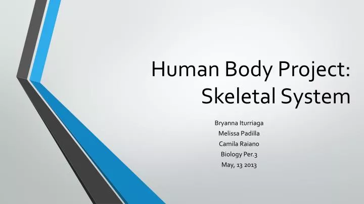 PPT - Human Body Project: Skeletal System PowerPoint Presentation, free ...