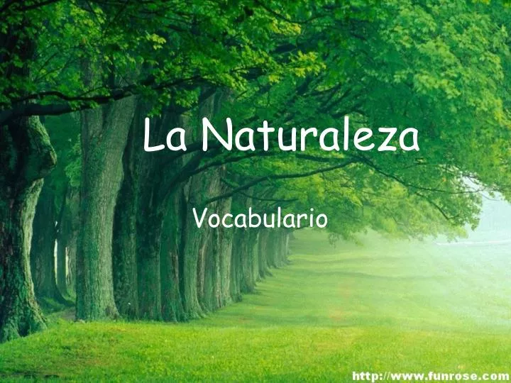 PPT - La Naturaleza PowerPoint Presentation, free download - ID:6585834