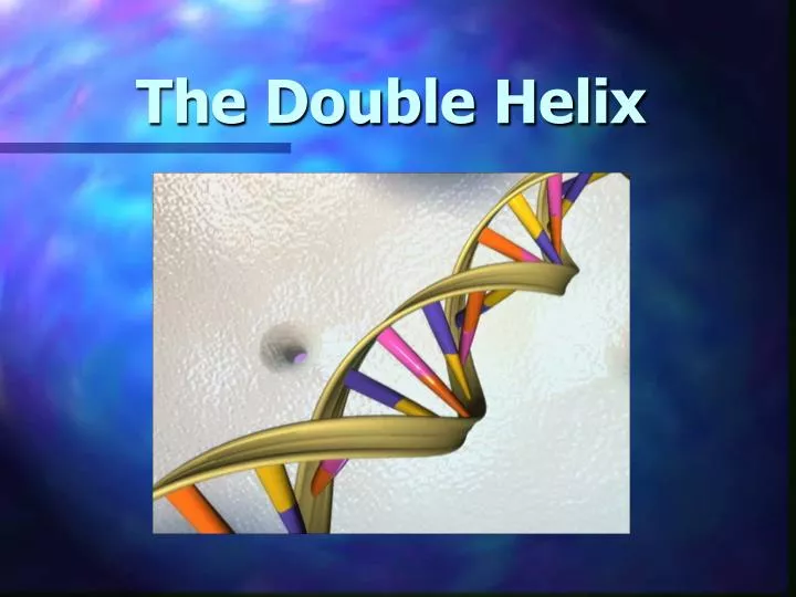 PPT - The Double Helix PowerPoint Presentation, free download - ID:6586953