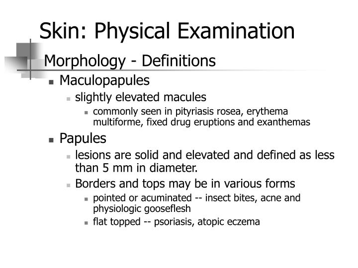 PPT - Skin Examination PowerPoint Presentation - ID:6588201