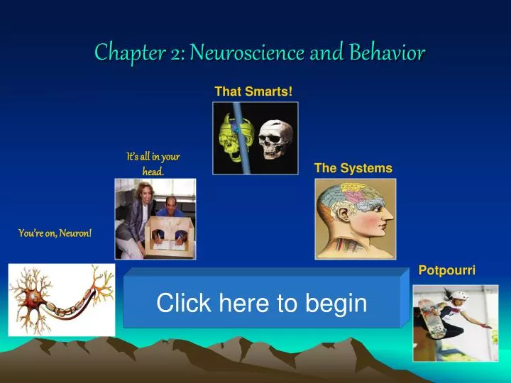 PPT - Chapter 2: Neuroscience and Behavior PowerPoint Presentation ...