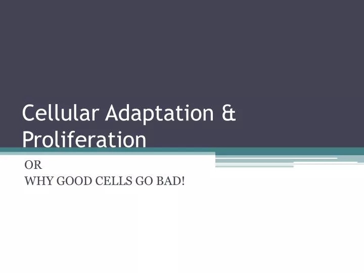 PPT - Cellular Adaptation & Proliferation PowerPoint Presentation, free ...