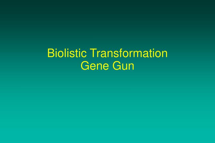 PPT - Plant Genetic Transformation PowerPoint Presentation - ID:6590910