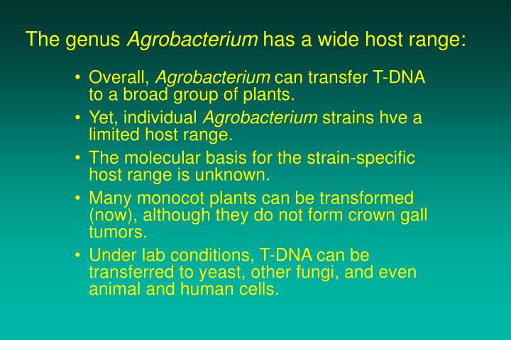 PPT - Plant Genetic Transformation PowerPoint Presentation - ID:6590910