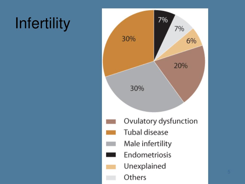 PPT - Female and Male Reproductive System & HSG and Prostate Imaging ...