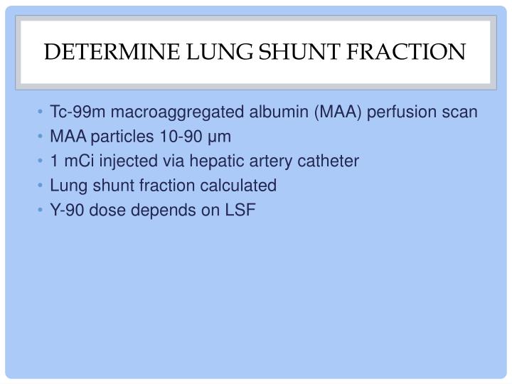 PPT - Y-90 Radioembolization PowerPoint Presentation - ID:6591905