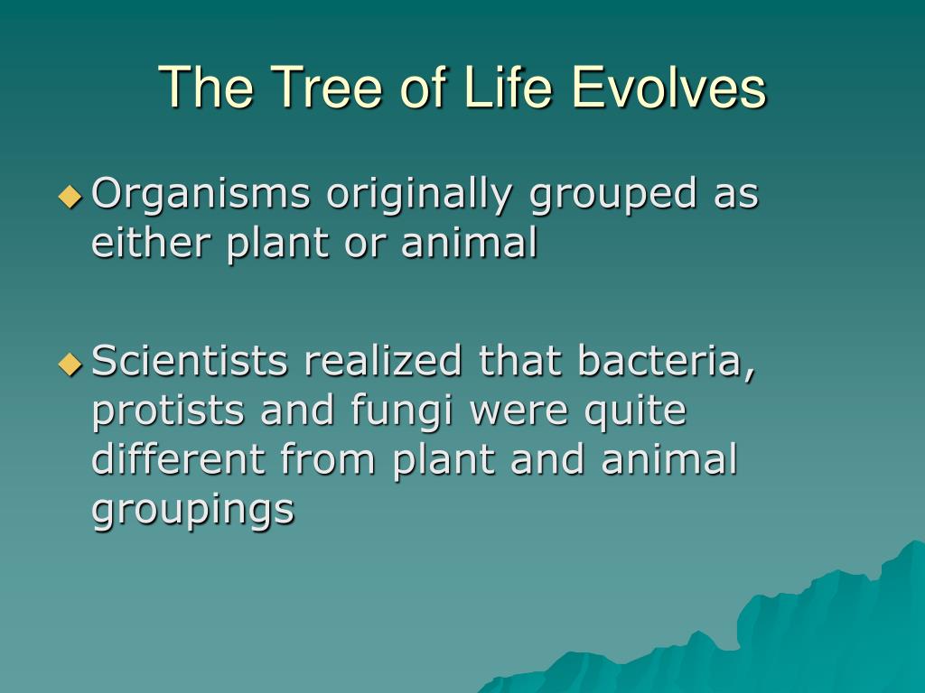 PPT - Evolution of Biological Classification: The Journey to Three ...