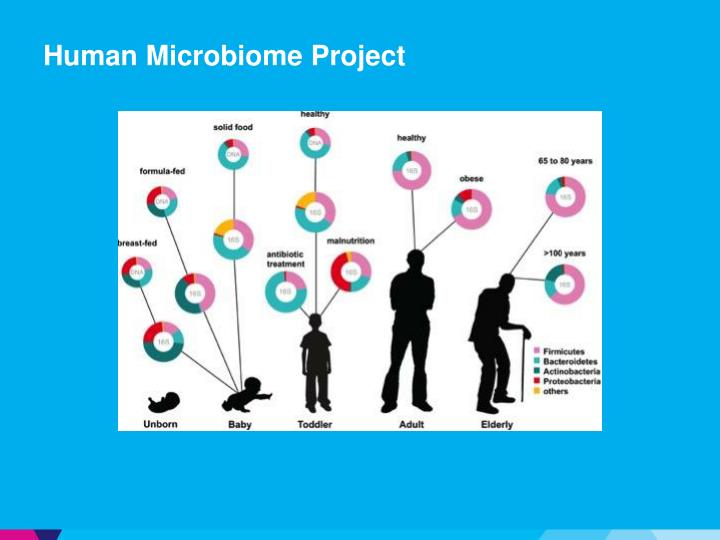 PPT - The Human Microbiome PowerPoint Presentation - ID:6592339