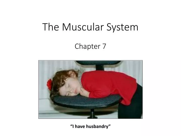 PPT - The Muscular System Chapter 7 PowerPoint Presentation, free ...