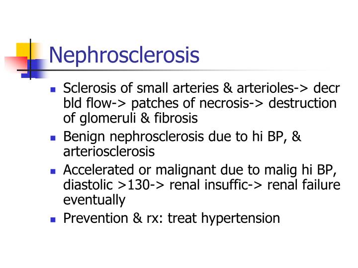 PPT - Renal & Urologic Problems PowerPoint Presentation - ID:6592643