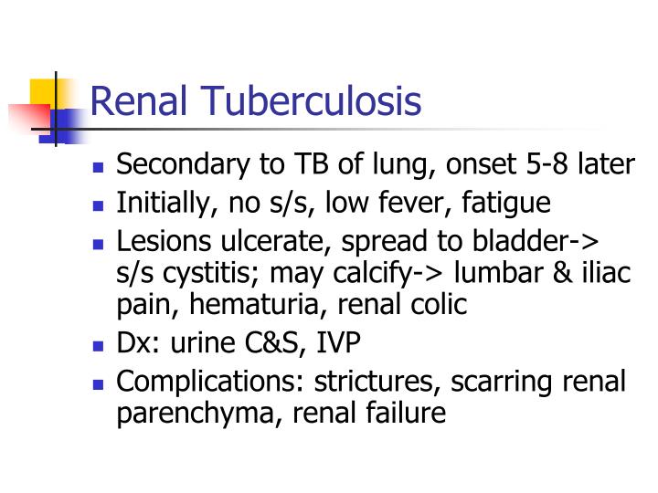 PPT - Renal & Urologic Problems PowerPoint Presentation - ID:6592643