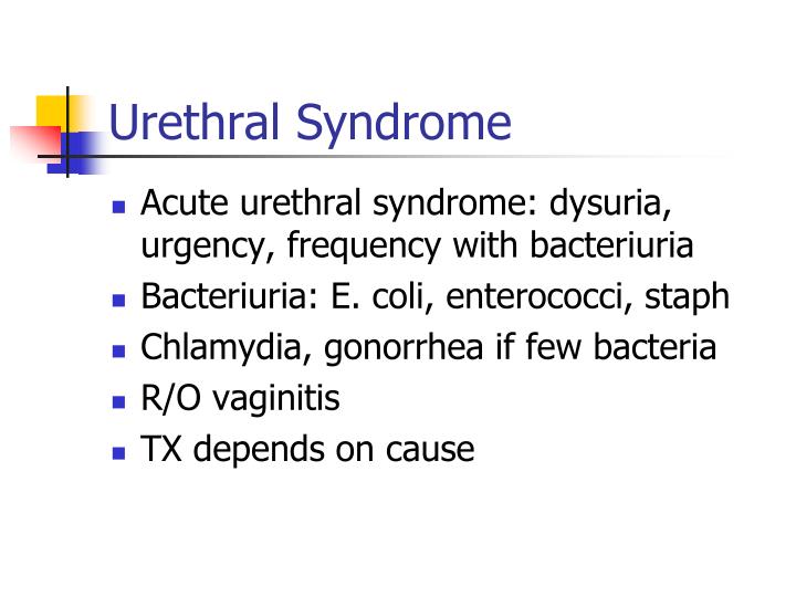PPT - Renal & Urologic Problems PowerPoint Presentation - ID:6592643