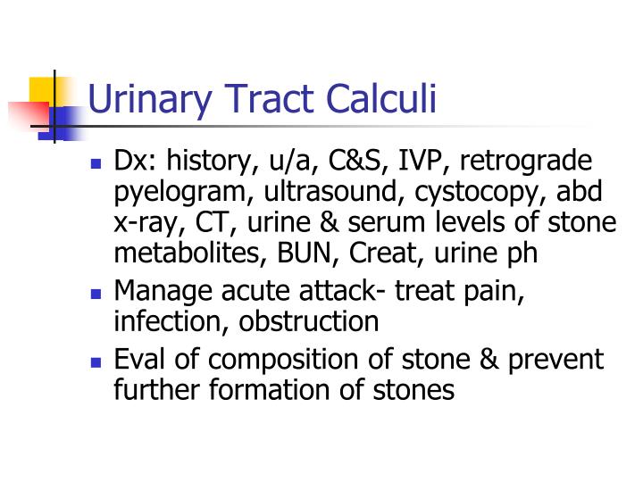 PPT - Renal & Urologic Problems PowerPoint Presentation - ID:6592643