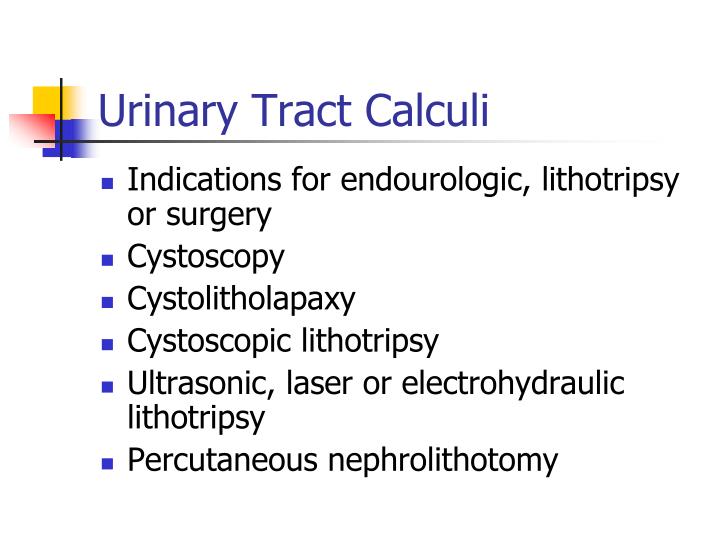 PPT - Renal & Urologic Problems PowerPoint Presentation - ID:6592643
