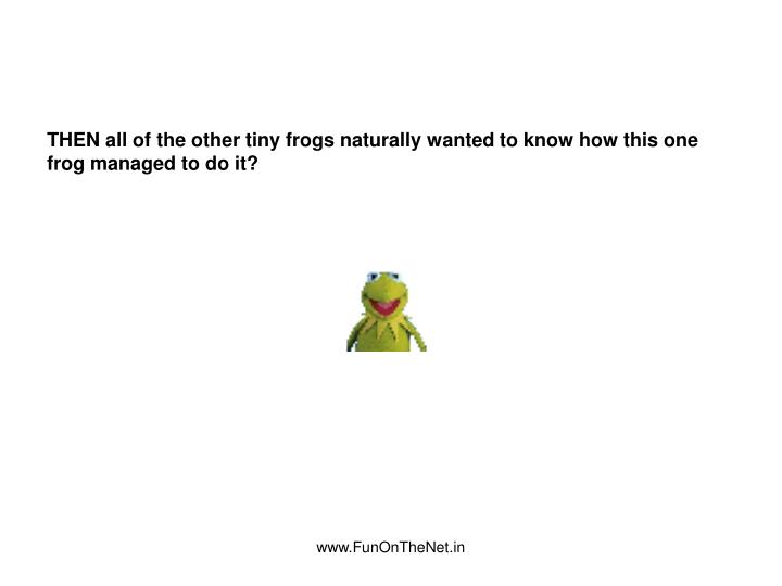PPT - The story about the tiny frogs…. PowerPoint Presentation - ID:6593089