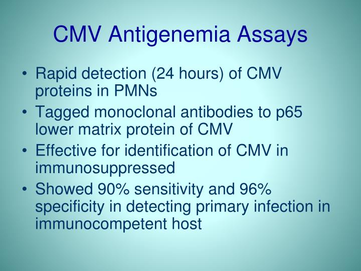 PPT - Cytomegalovirus Infection in Renal Transplantation PowerPoint ...