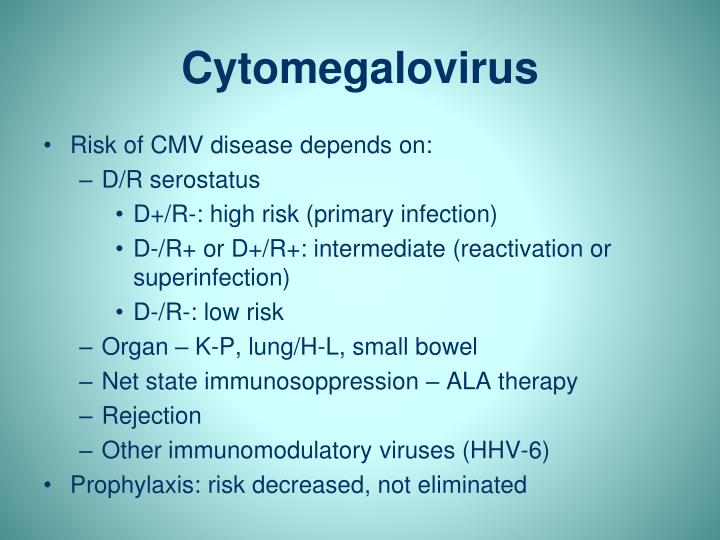 PPT - Cytomegalovirus Infection in Renal Transplantation PowerPoint ...