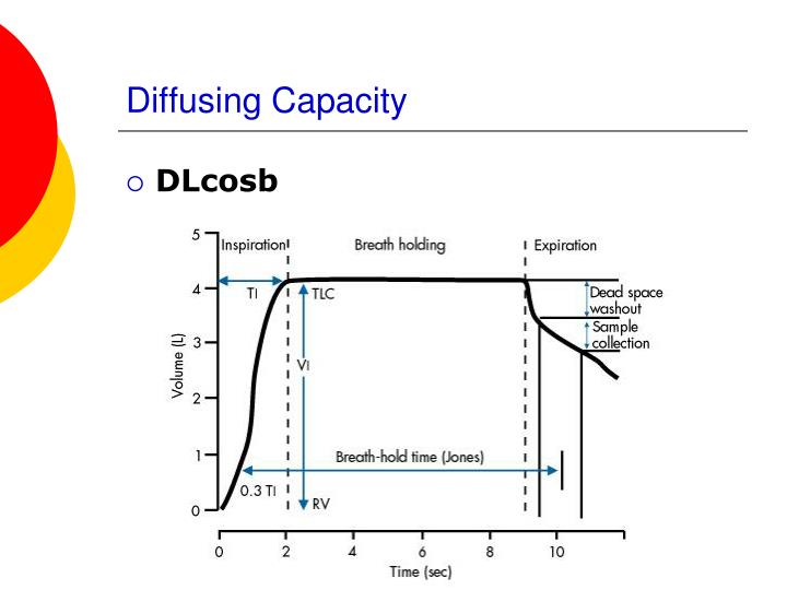 PPT - Diffusing Capacity PowerPoint Presentation - ID:6593771