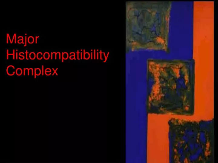 PPT - Major Histocompatibility Complex PowerPoint Presentation, free ...