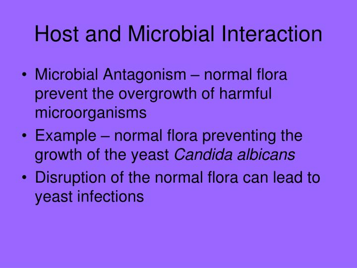 PPT - Principles of Disease and Epidemiology PowerPoint Presentation ...