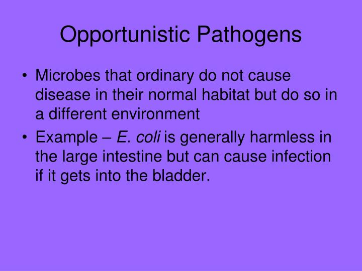 PPT - Principles of Disease and Epidemiology PowerPoint Presentation ...