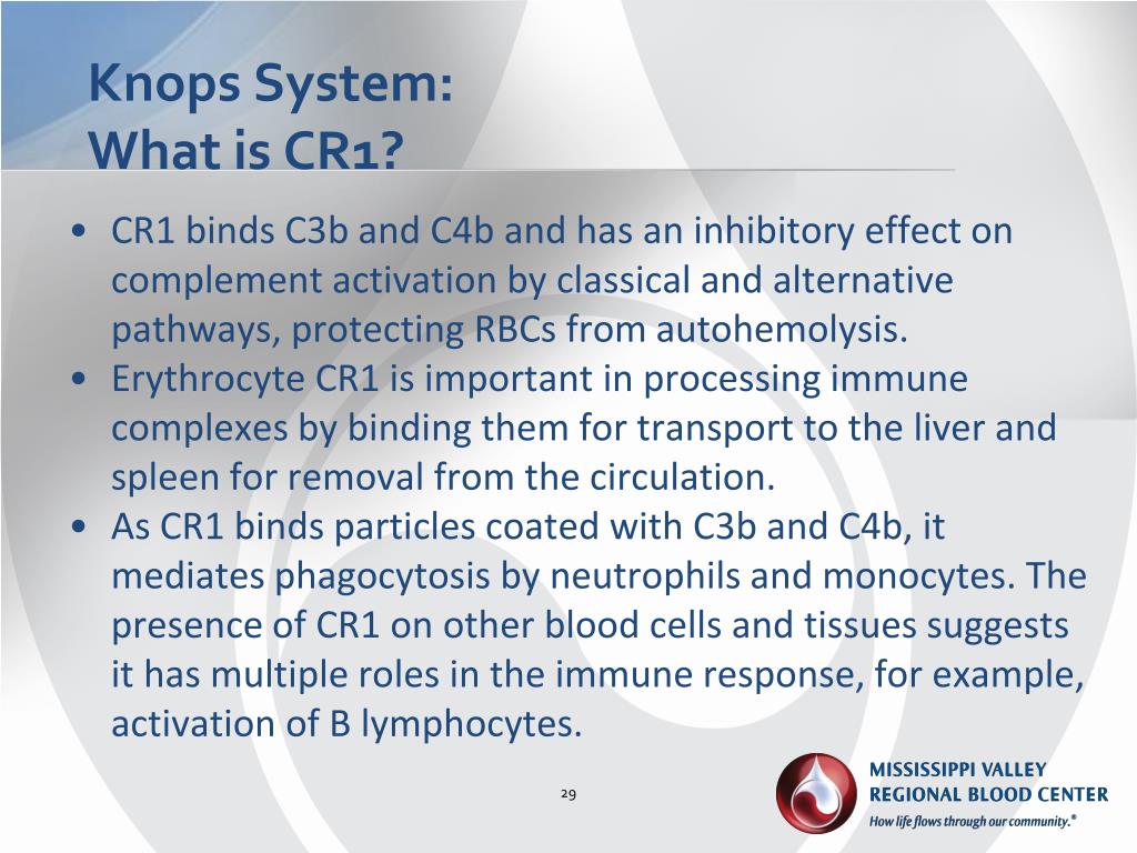 PPT - Antibodies Formerly Known as ‘High-Titer, Low-Avidity (HTLA ...