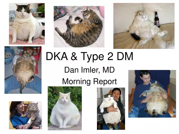 PPT - DKA & Type 2 DM PowerPoint Presentation, free download - ID:6594966
