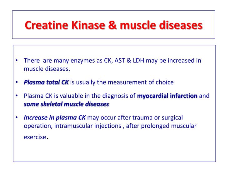 PPT - Creatine Metabolism PowerPoint Presentation - ID:6596382