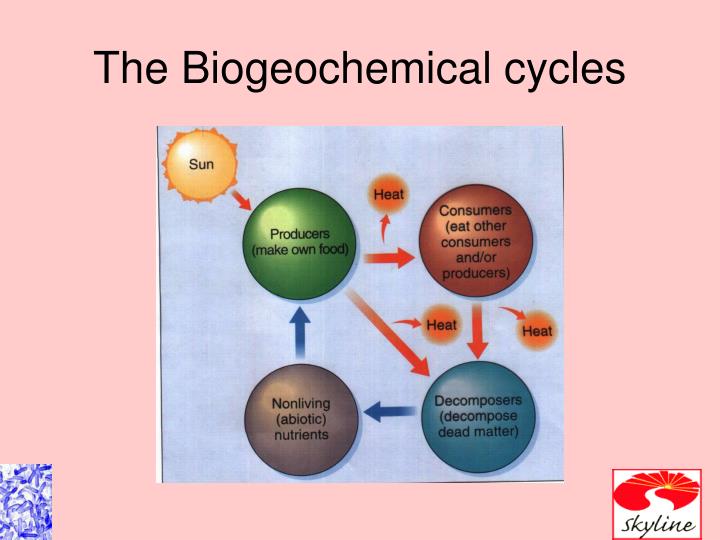 PPT - Ch 27 Environmental Microbiology PowerPoint Presentation - ID:6596770