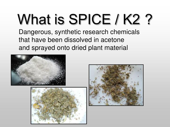 PPT - Designer Drugs Update PowerPoint Presentation - ID:6596806