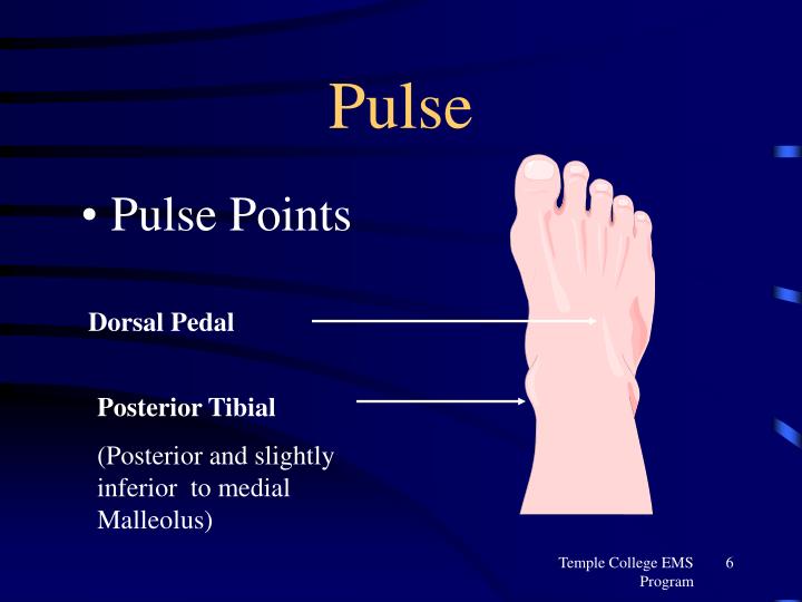 PPT - VITAL SIGNS PowerPoint Presentation - ID:6597327