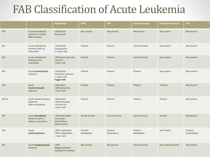 PPT - Acute Myeloid Leukemias (AML) PowerPoint Presentation - ID:6597338
