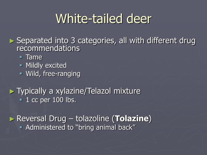 PPT - Chemical Immobilization PowerPoint Presentation - ID:6597746