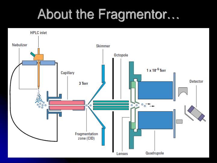 PPT - Electrospray and Atmospheric Pressure Chemical Ionization ...