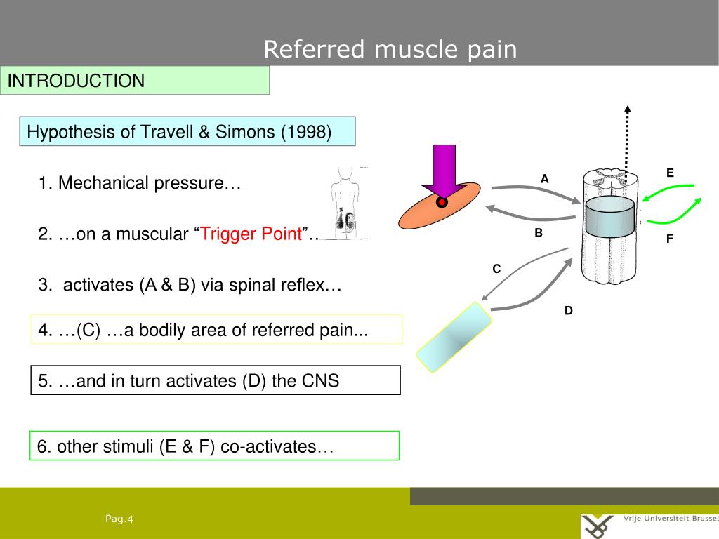 PPT - Faculty of Physical Education & Rehabilitation Department of ...