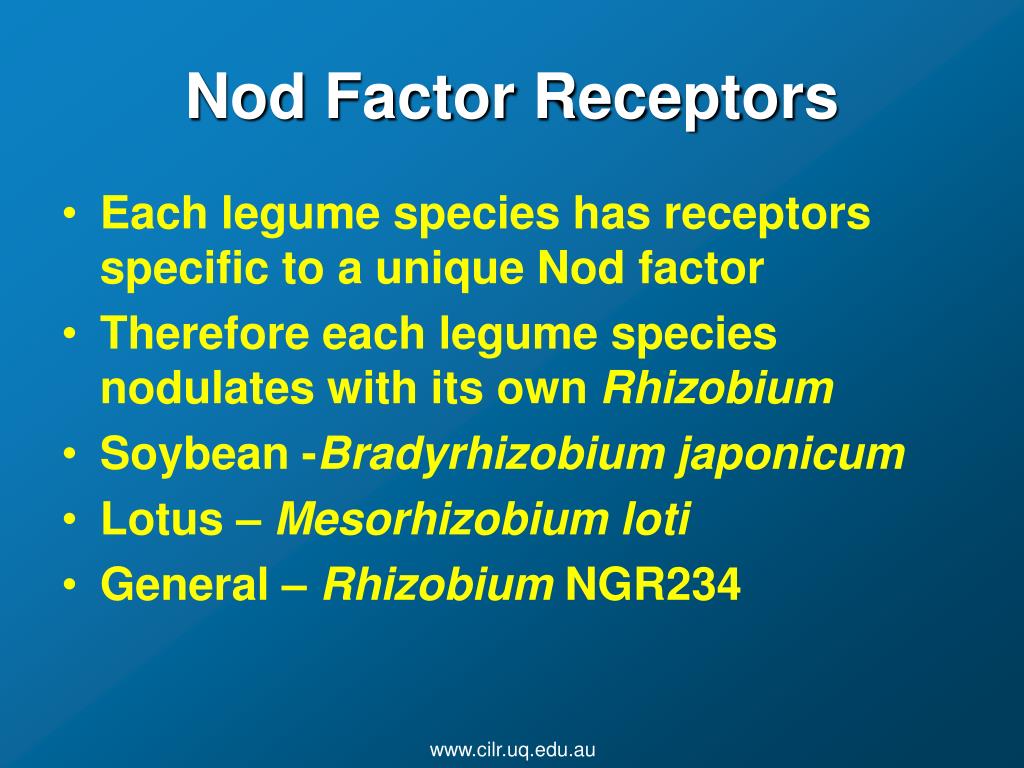 PPT - ARC Centre of Excellence for Integrative Legume Research How ...