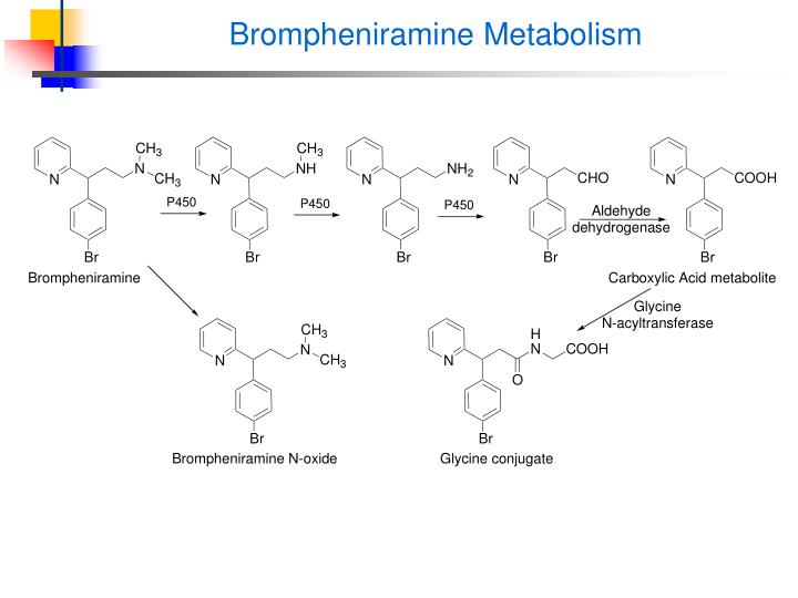 PPT - Metabolic Changes of Drugs PowerPoint Presentation - ID:6599590