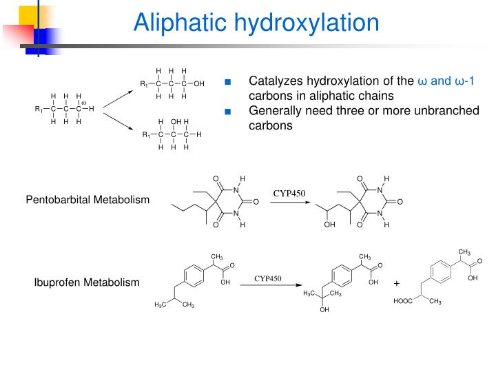 PPT - Metabolic Changes of Drugs PowerPoint Presentation - ID:6599590