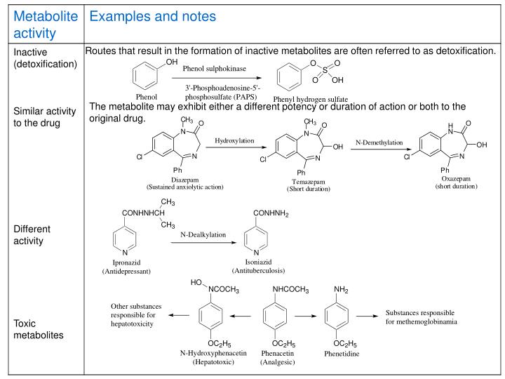 PPT - Metabolic Changes of Drugs PowerPoint Presentation - ID:6599590