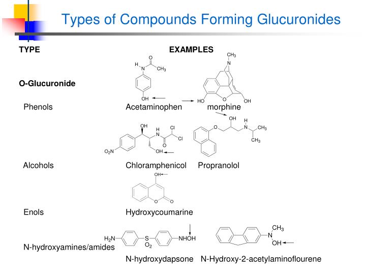 PPT - Metabolic Changes of Drugs PowerPoint Presentation - ID:6599590