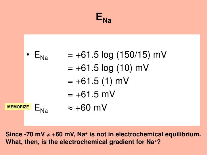 PPT - Nernst Equation PowerPoint Presentation - ID:6600057