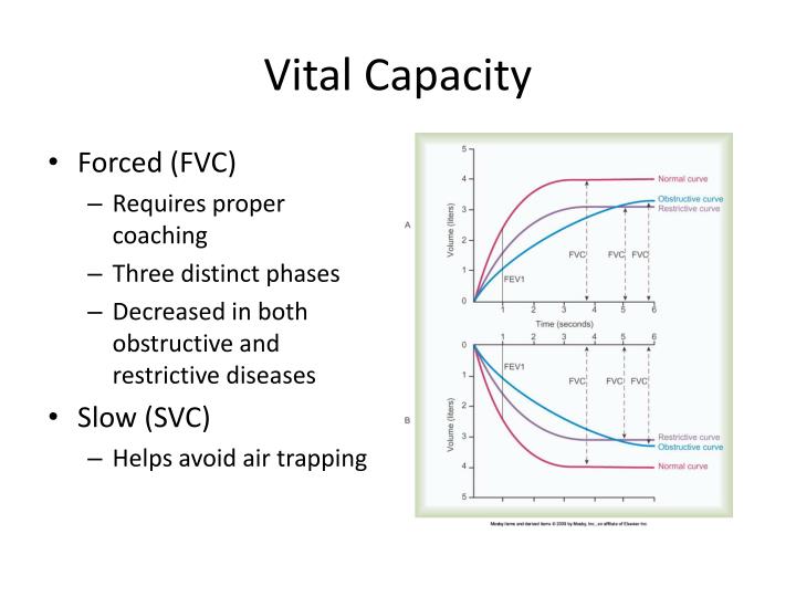 PPT - Pulmonary Function Testing PowerPoint Presentation - ID:6600167