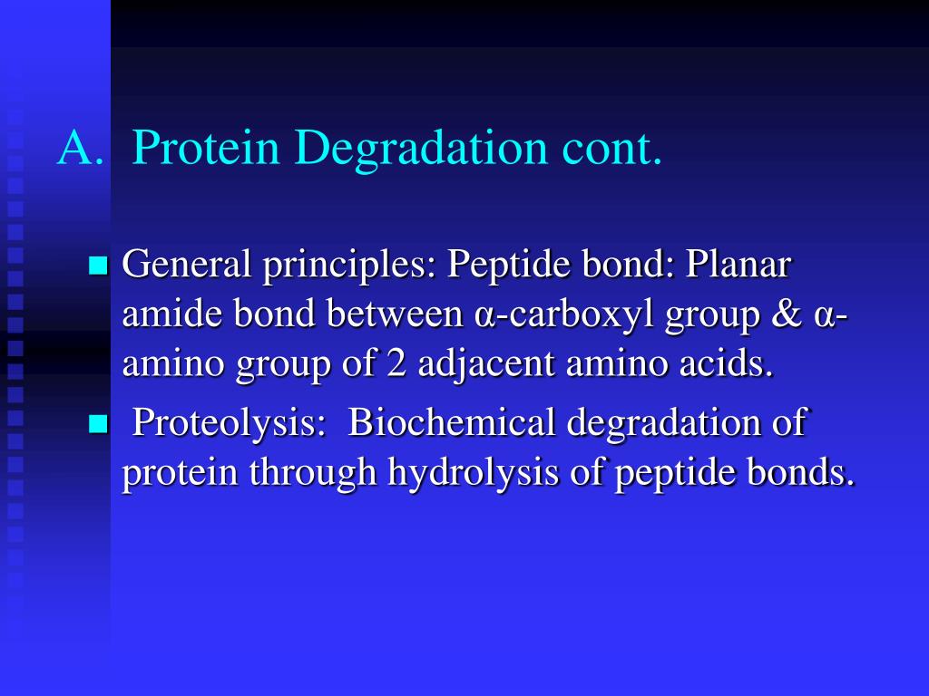 PPT - Heat Shock Proteins, Hsp90 Inhibitors, and Protein Degradation ...