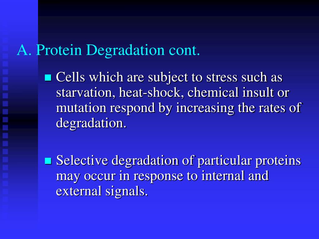 PPT - Heat Shock Proteins, Hsp90 Inhibitors, and Protein Degradation ...